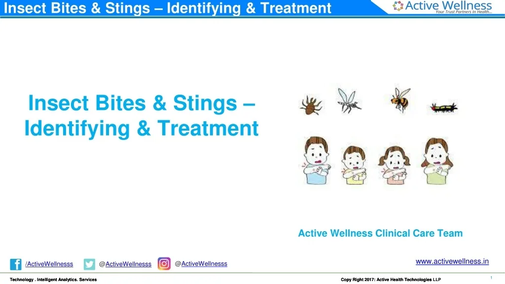 PPT - Insect Bites & Stings – Identifying & Treatment - Active Health ...