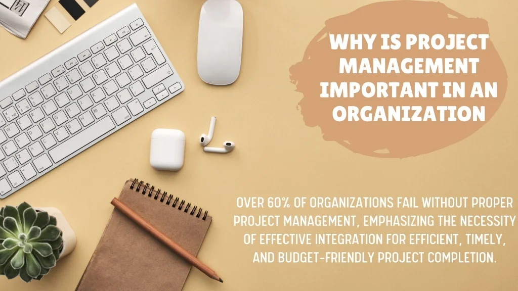 PPT - Why is Project Management important in an Organization PowerPoint ...