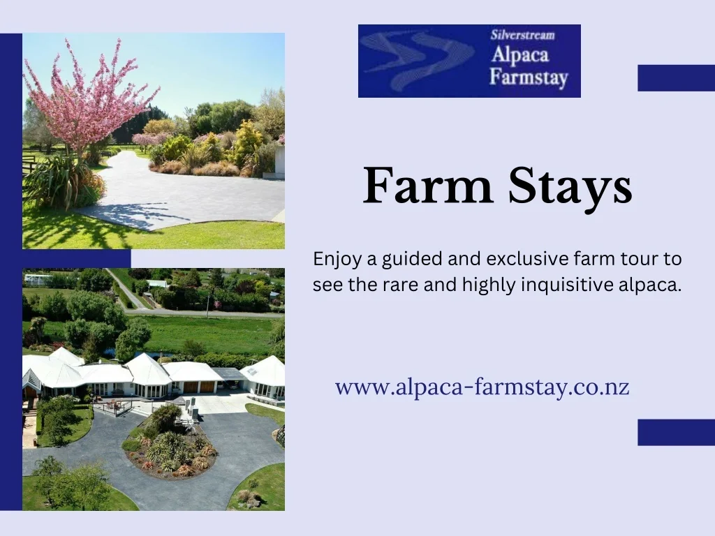 PPT - Farm Stays PowerPoint Presentation, free download - ID:12907893