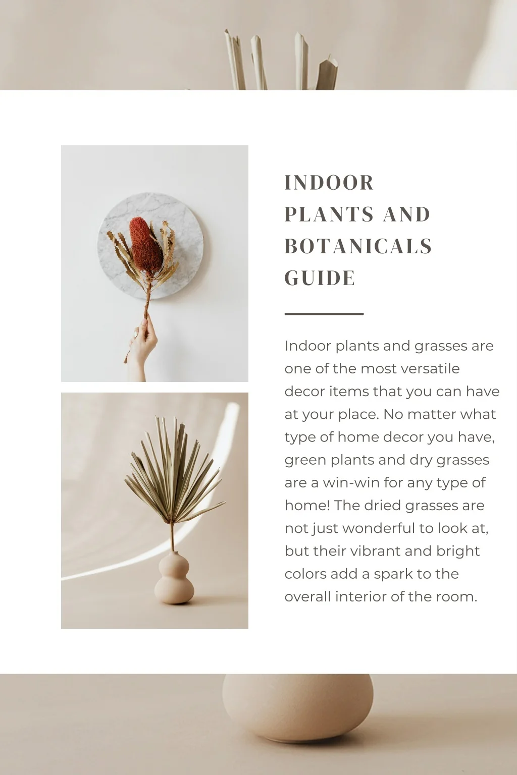 PPT - Indoor Plants and Botanicals Guide PowerPoint Presentation, free ...