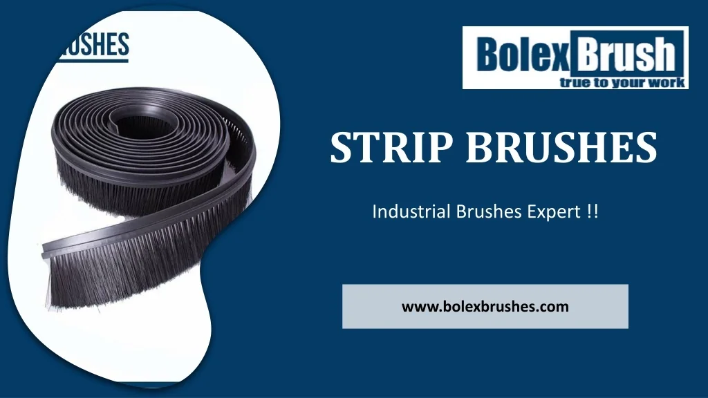 PPT - Strip Brushes PowerPoint Presentation, free download - ID:12929319