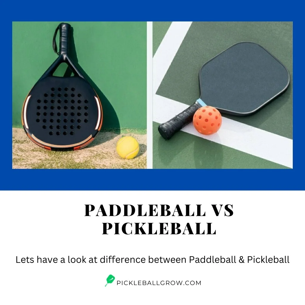 PPT - PADDLEBALL VS PICKLEBALL PowerPoint Presentation, free download ...