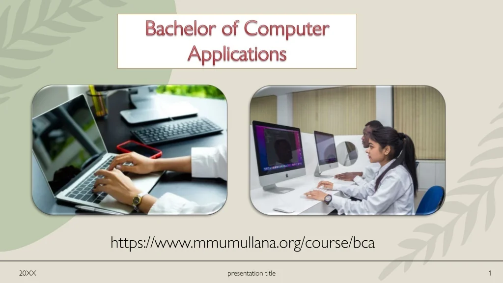 PPT - Bachelor of Computer Applications PowerPoint Presentation, free ...