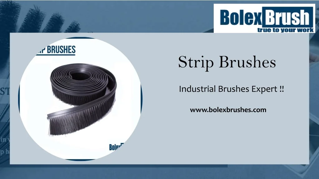 PPT - Strip Brushes PowerPoint Presentation, free download - ID:12992185