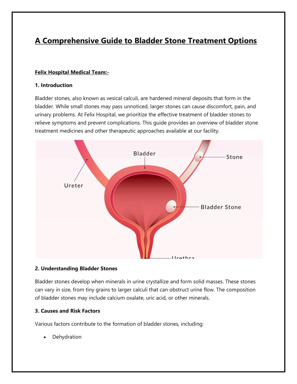 PPT - Bladder stone treatment medicine PowerPoint Presentation, free ...