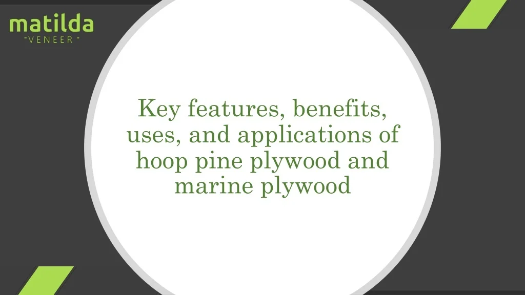 PPT - Key features, benefits, uses, and applications of hoop pine ...