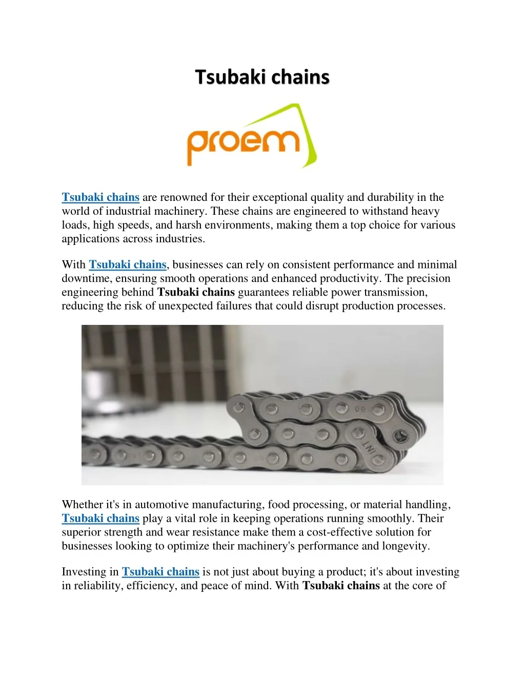 PPT - Tsubaki chains PowerPoint Presentation, free download - ID:13039588