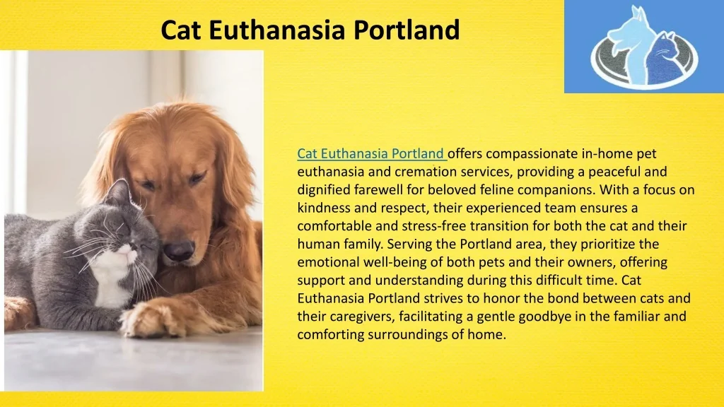 PPT - Cat Euthanasia Portland PowerPoint Presentation, free download ...