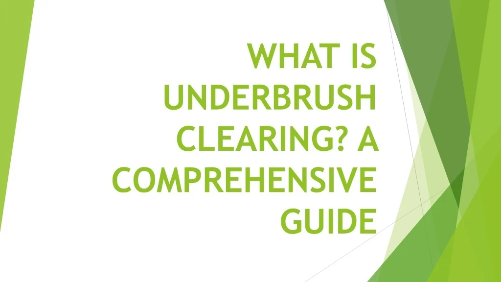 PPT - WHAT IS UNDERBRUSH CLEARING A COMPREHENSIVE GUIDE PowerPoint ...