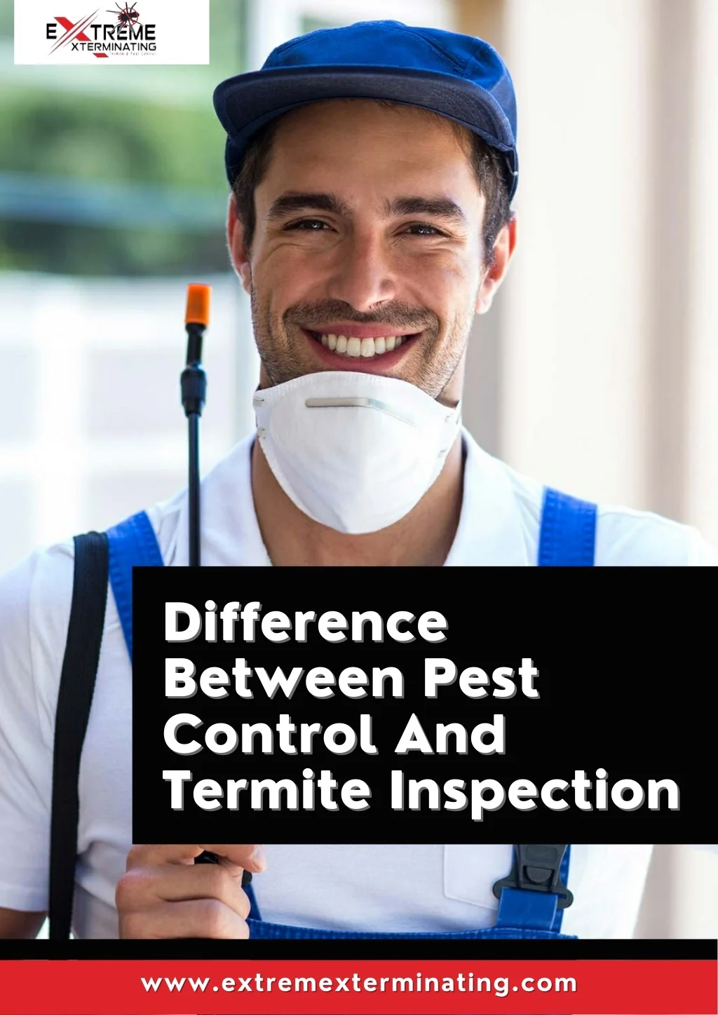 PPT - Difference Between Pest Control And Termite Inspection PowerPoint Presentation - ID:13123468