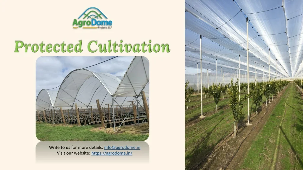PPT - Introduction-to-Protected-Cultivation-AgroDome PowerPoint ...