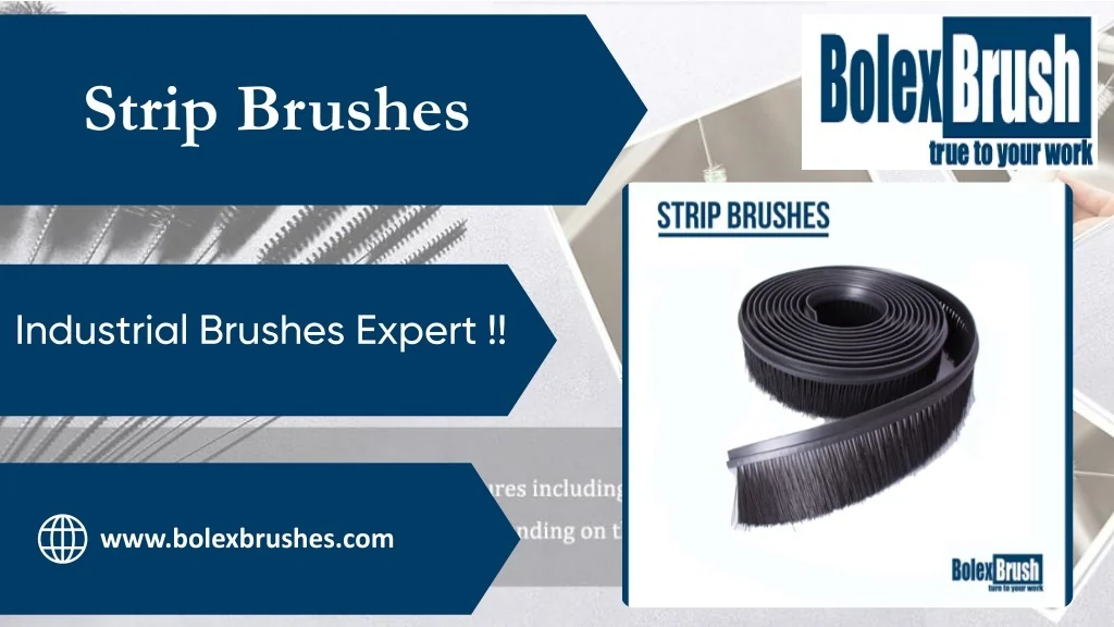PPT - Strip Brushes PowerPoint Presentation, free download - ID:13126885