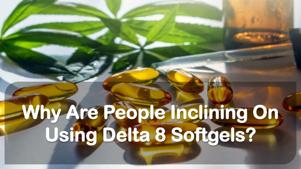PPT - Why Are People Inclining On Using Delta 8 Softgels PowerPoint ...