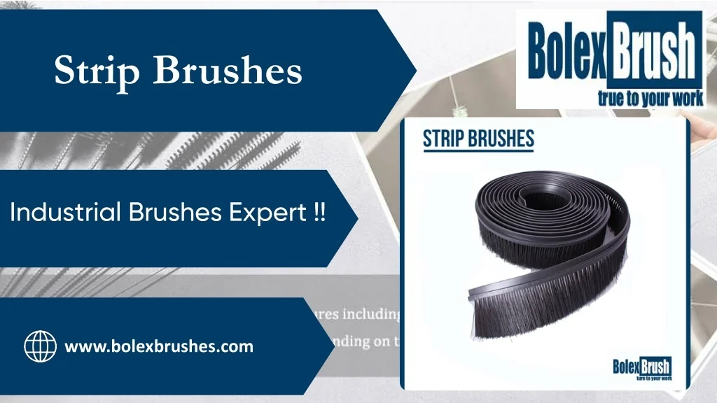 PPT - Strip Brushes PowerPoint Presentation, free download - ID:13153928