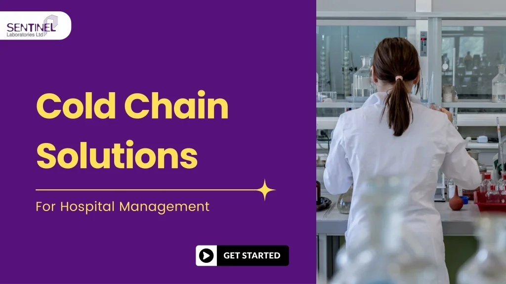 PPT - Cold Chain Solutions PowerPoint Presentation, free download - ID ...