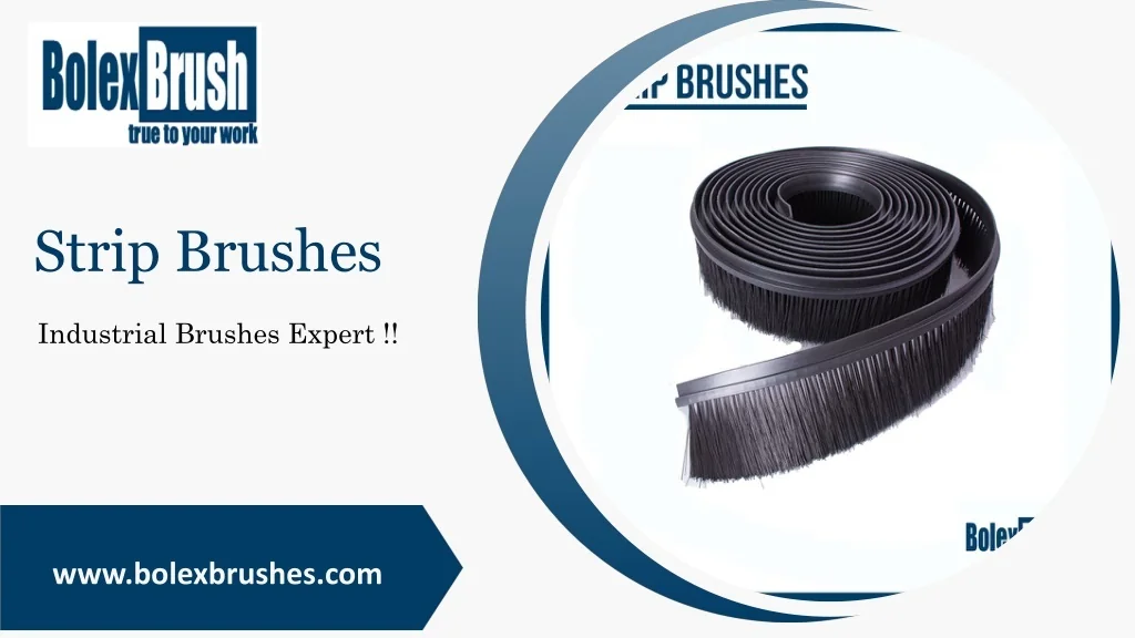PPT - Strip Brushes PowerPoint Presentation, free download - ID:13200324