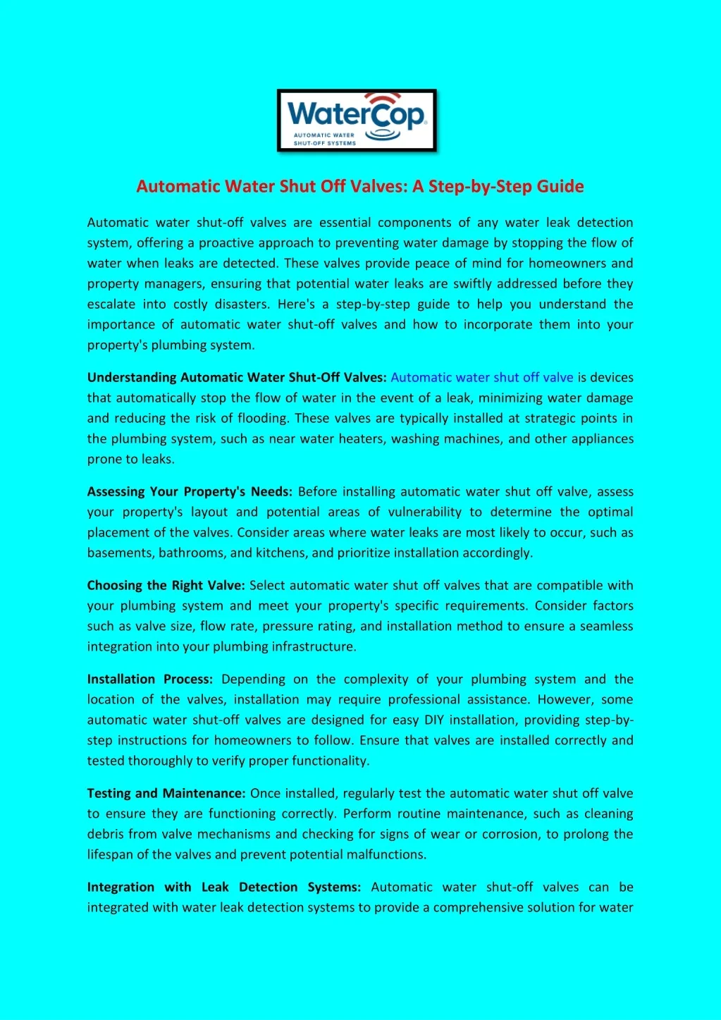 PPT - Automatic Water Shut Off Valves A Step-by-Step Guide PowerPoint ...