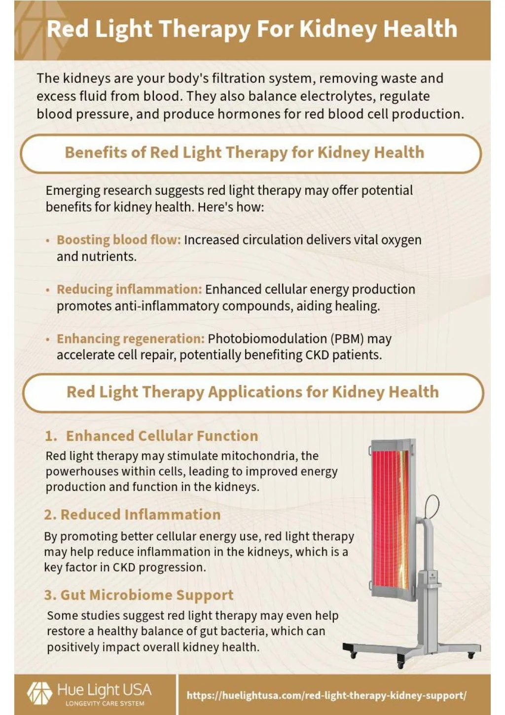 PPT - How Red Light Therapy Supports the Kidneys (Research Review ...