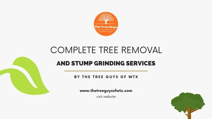 PPT - Complete Tree Removal and Stump Grinding Services by The Tree Guys of WTX PowerPoint ...