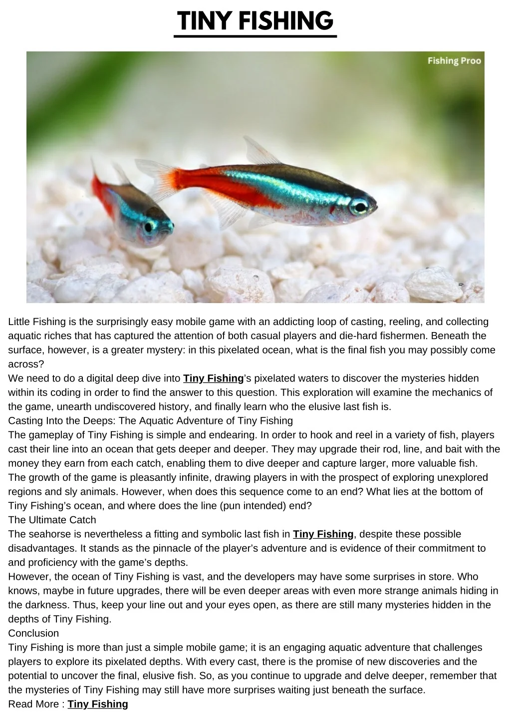 PPT - Tiny Fishing PowerPoint Presentation, free download - ID:13305424