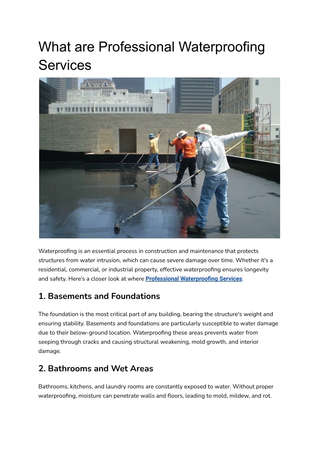 PPT - What are Professional Waterproofing Services PowerPoint ...