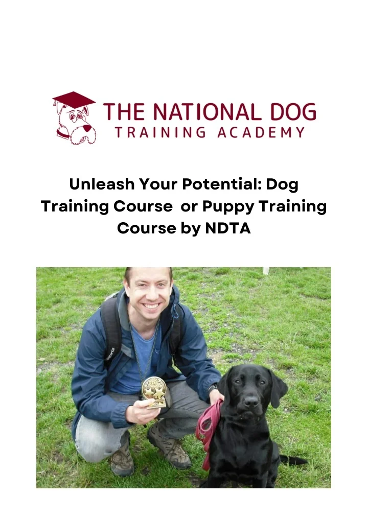 PPT - Easy Steps to Follow to Become a Dog Trainer by NDTA PowerPoint Presentation - ID:13317867