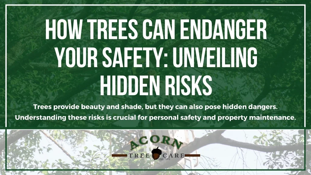 PPT - How Trees Can Endanger Your Safety: Unveiling Hidden Risks ...