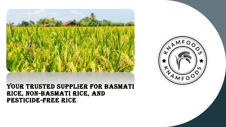 PPT - Knam: Leading the Indian Cereals Market with Quality Basmati and ...