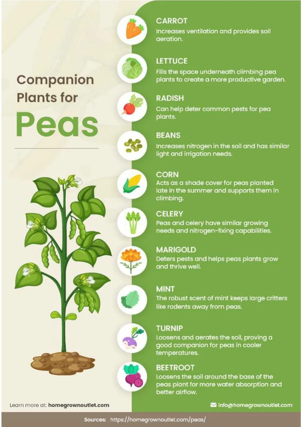 PPT - Companion Plants for Peas PowerPoint Presentation, free download ...