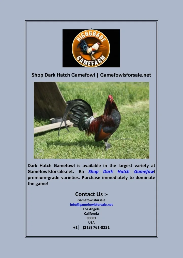 PPT - Shop Dark Hatch Gamefowl Gamefowlsforsale net PowerPoint ...