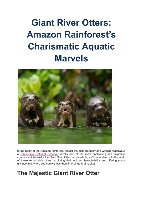 PPT - Giant River Otters: Amazon Rainforest’s Charismatic Aquatic ...