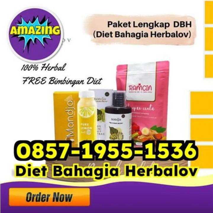 PPT - WA 0857-1955-1536 Menu Herbal Pelangsing Perut Buncit Penjaringan ...