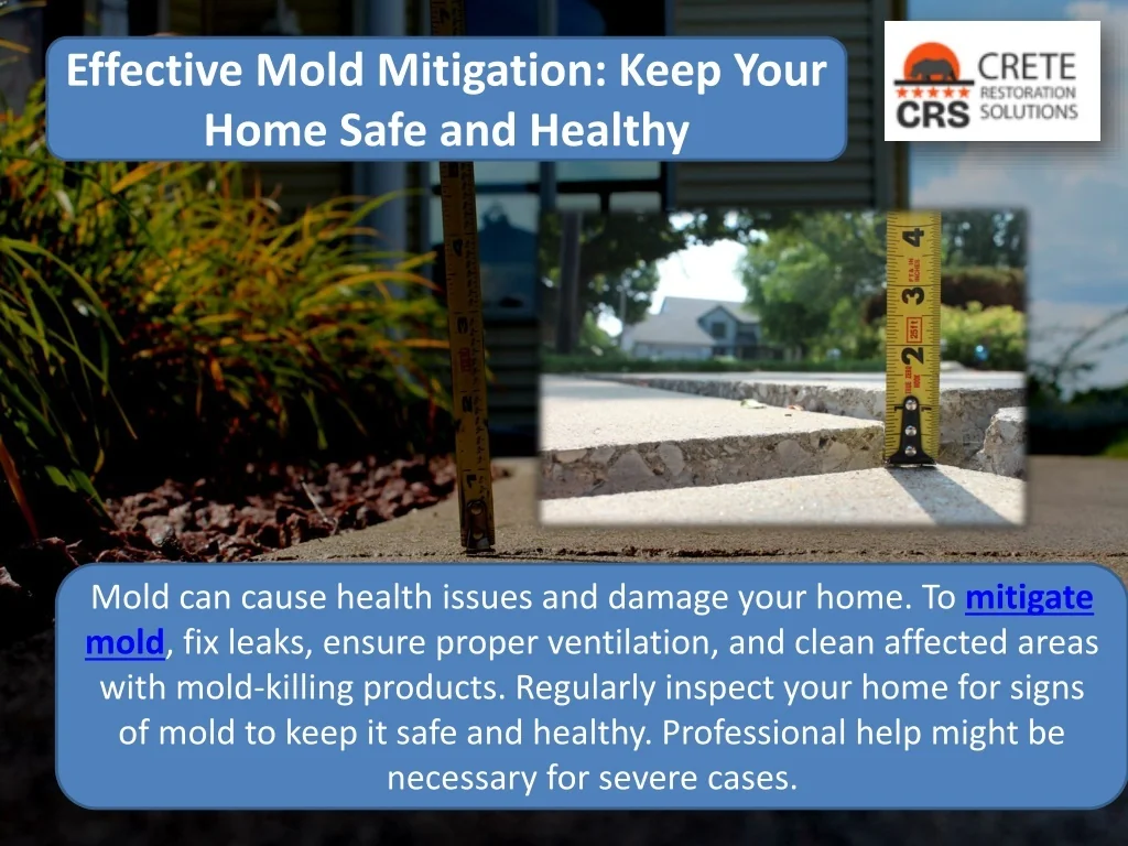 PPT - Effective Mold Mitigation: Keep Your Home Safe and Healthy ...