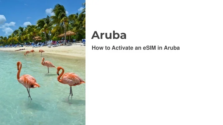 PPT - How to Activate an eSIM in Aruba PowerPoint Presentation, free download - ID:13441404