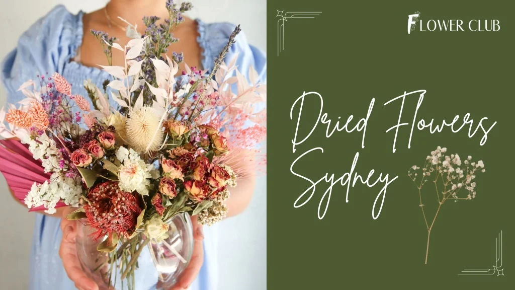 PPT - Dried Flowers Sydney PowerPoint Presentation, free download - ID ...