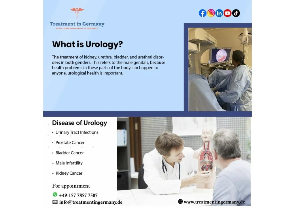 PPT - what is urology PowerPoint Presentation, free download - ID:13493114