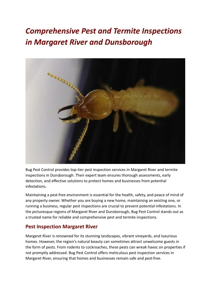 PPT - Comprehensive Pest and Termite Inspections in Margaret River and ...