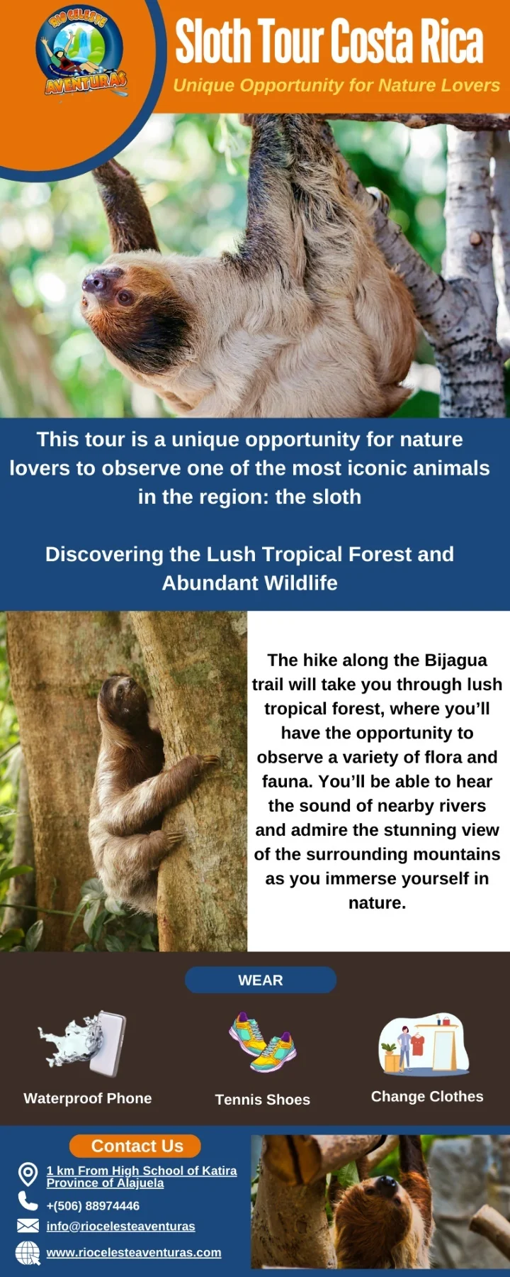 PPT - Infographic:- Sloth Watching Costa Rica PowerPoint Presentation ...