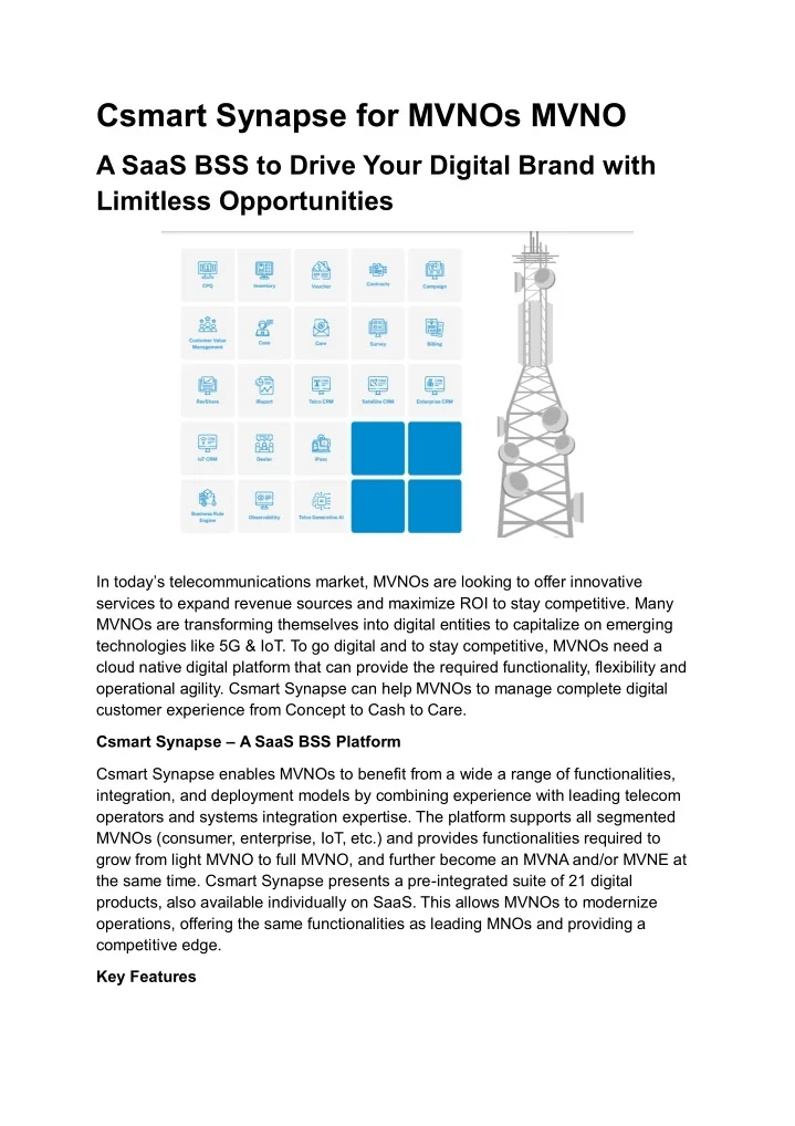 PPT - A SaaS BSS to Drive Your Digital Brand with Limitless Opportunities PowerPoint ...