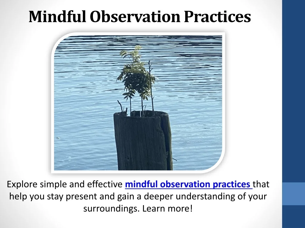 PPT - Mindful Observation Practices PowerPoint Presentation, free ...