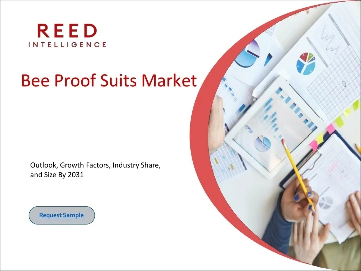 PPT - Bee Proof Suits Market PowerPoint Presentation, free download - ID:13563974