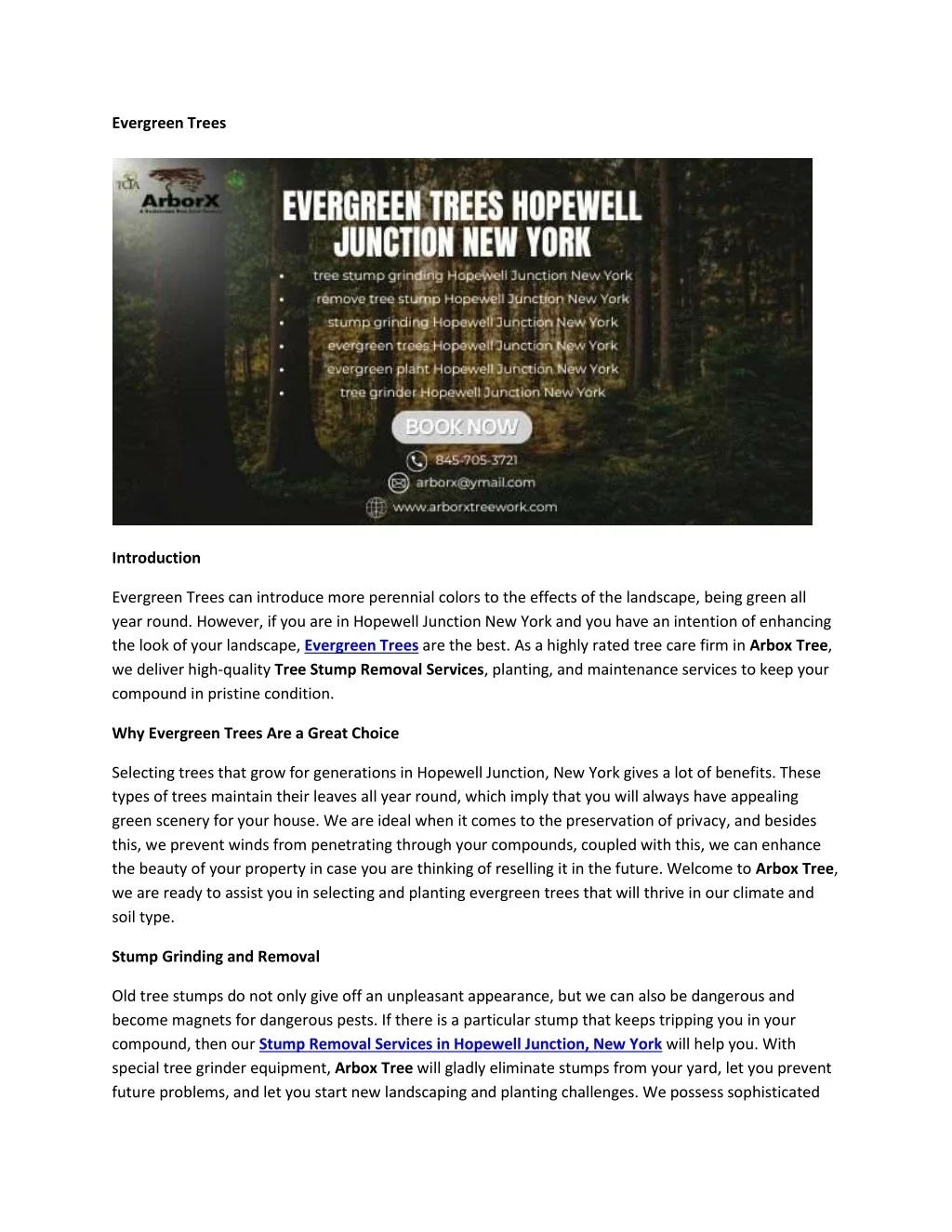 PPT - Evergreen Trees PowerPoint Presentation, free download - ID:13565027