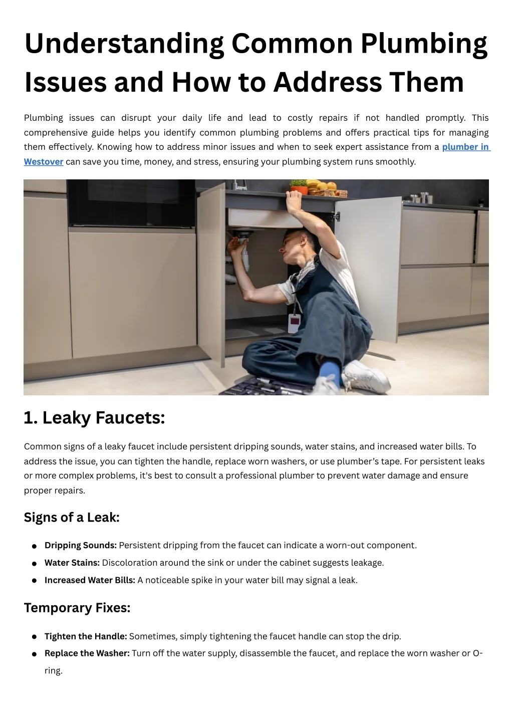 PPT - Understanding Common Plumbing Issues and How to Address Them ...