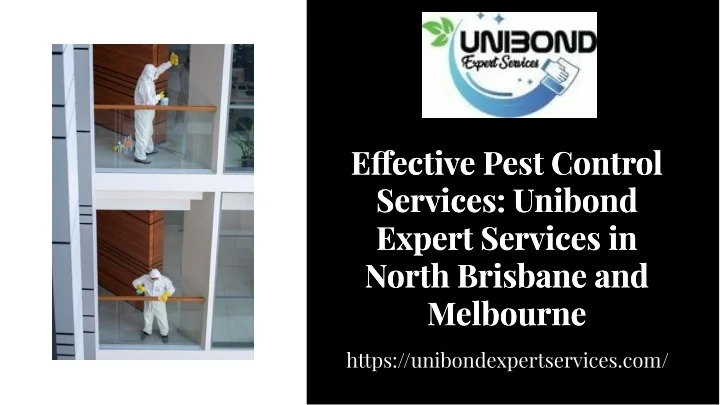 PPT - Best Pest Control In Brisbane Unibond Expert Services PowerPoint ...