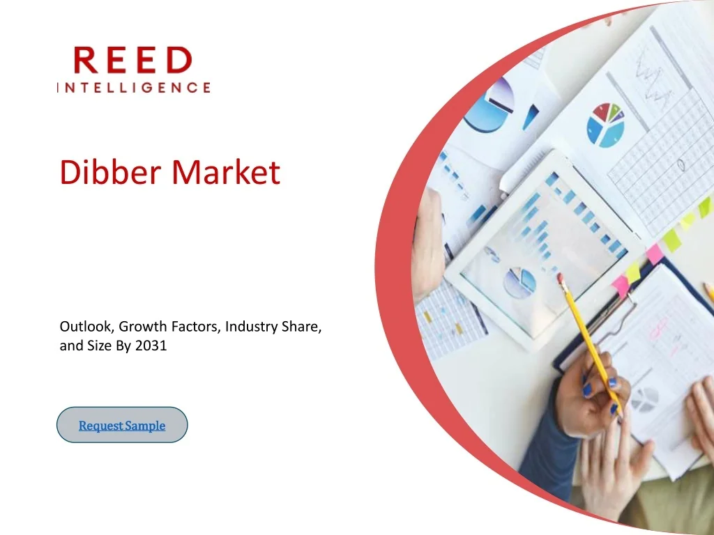 PPT - Dibber Market PowerPoint Presentation, free download - ID:13576557