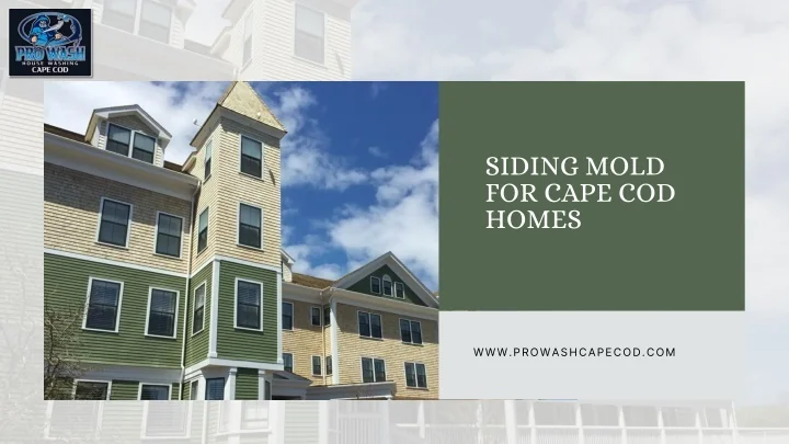 PPT - Expert Siding Mold Removal Service in Cape Cod | ProWash ...