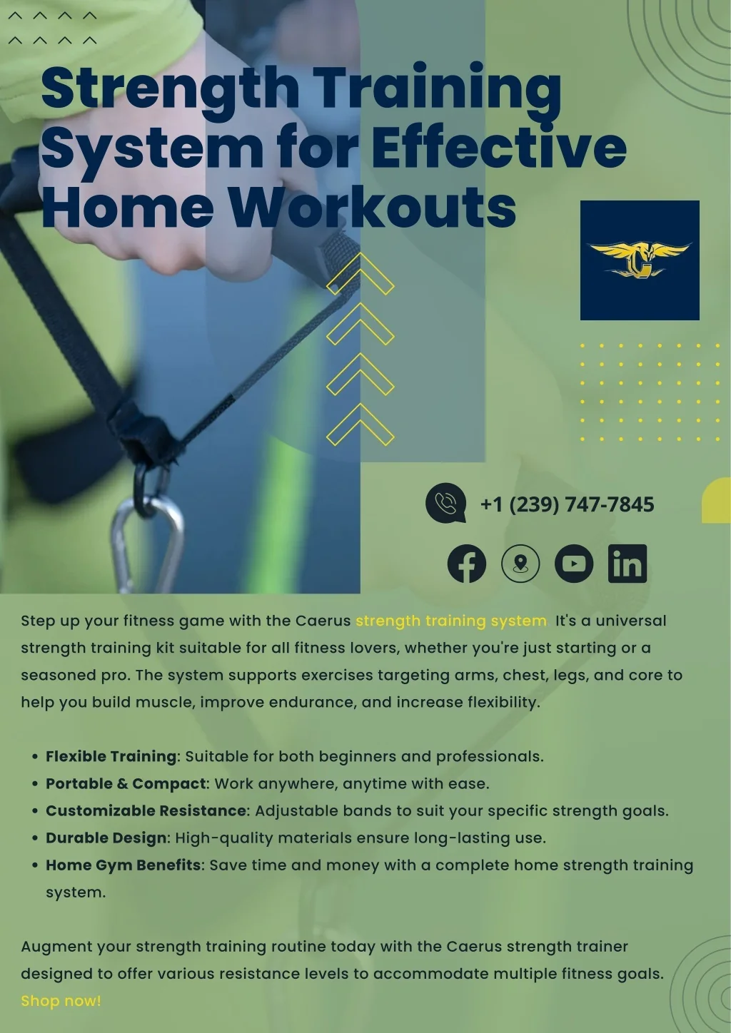 PPT - Strength Training System for Effective Home Workouts PowerPoint ...