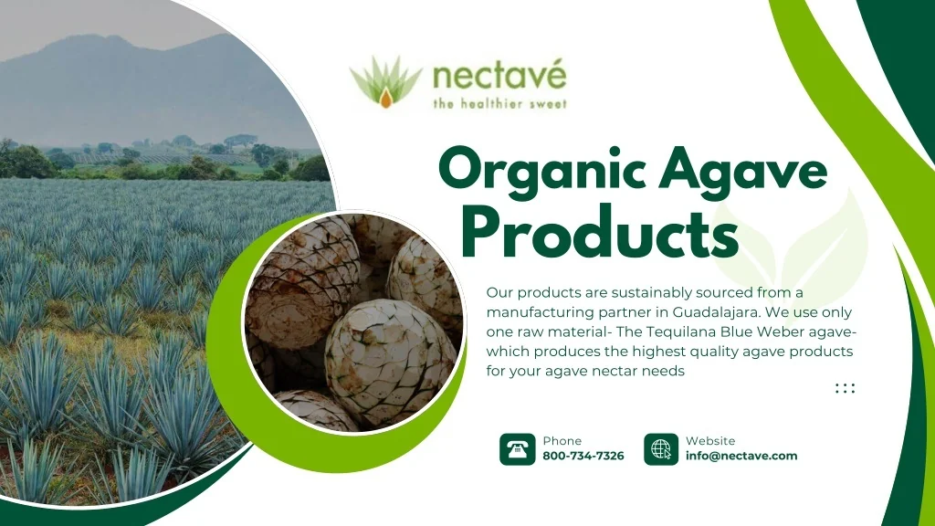 PPT - Organic Agave Products (1) PowerPoint Presentation, free download - ID:13601176