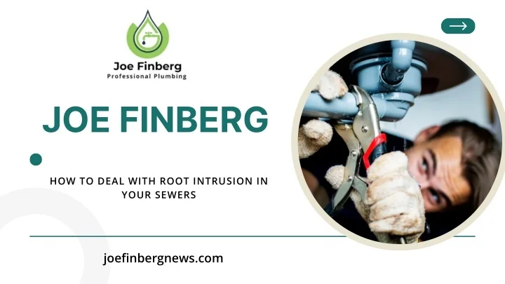 PPT - Joe Finberg PowerPoint Presentation, free download - ID:13627802
