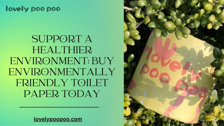 PPT - Buy Environmentally Friendly Toilet Paper Today PowerPoint ...